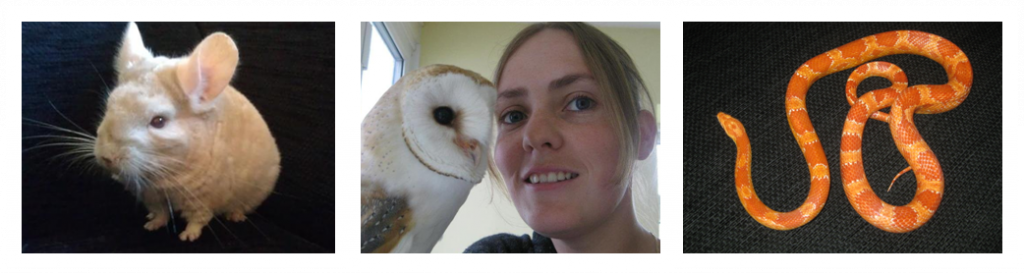 Contact Us - Animals Take Over