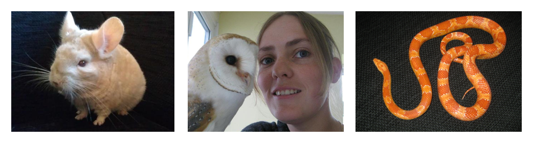 Contact Us - Animals Take Over